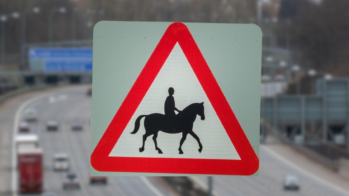 Quiz: How many of these road signs do you know? | Bumper